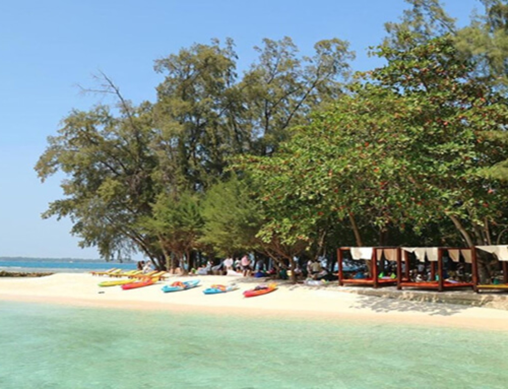 Pesona Pulau Gosong Kepulauan Seribu yang Tersembunyi - pulautidung.co.id